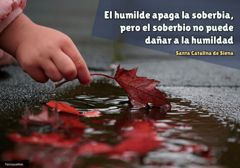 Aprende a crecer personalmente usando la humildad: consejos y ejemplos